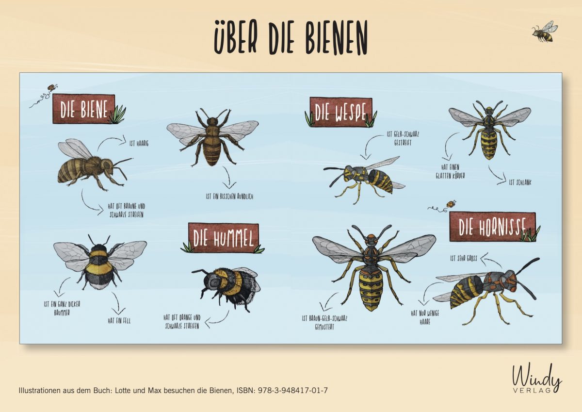 Wie Viel Bienenarten Gibt Es